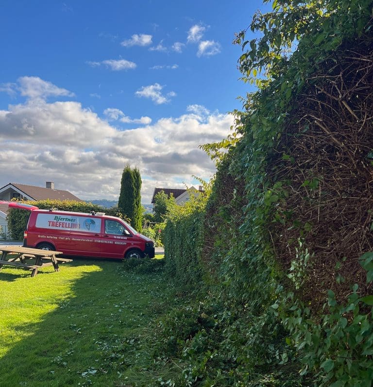 Hekkeklipping | Bjertnes Trefelling